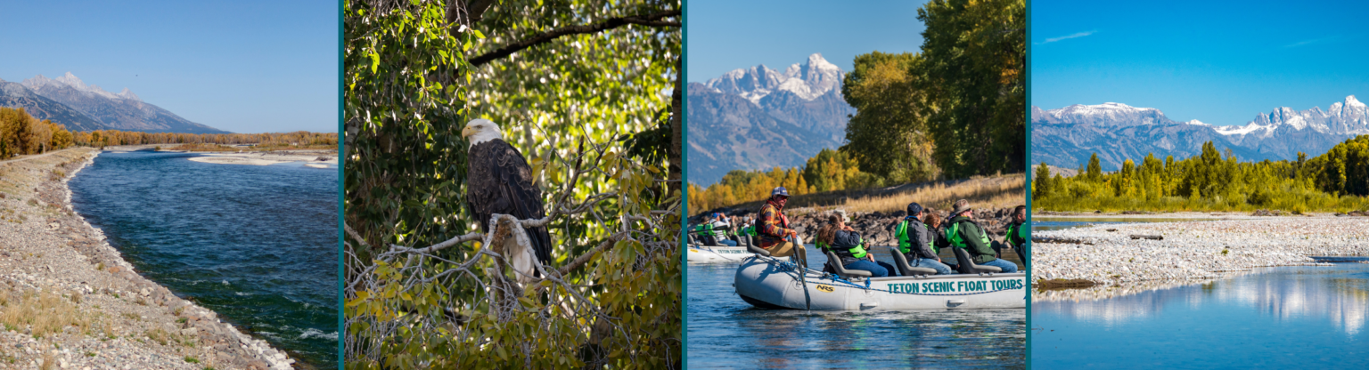 Shaping Jackson Hole History: John Colter - Teton Scenic Float Tours