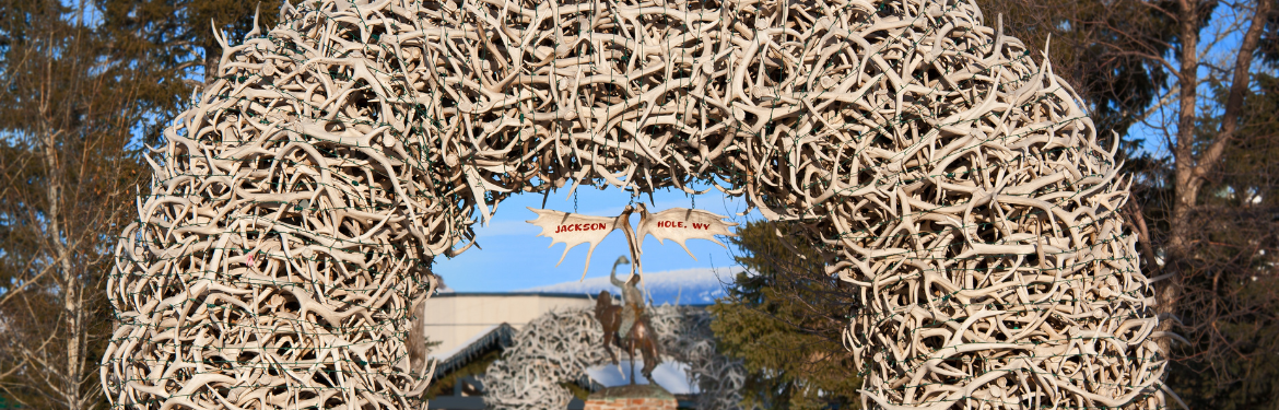 7-Day Jackson to Bozeman Road Trip Itinerary: Best Stops & Tips