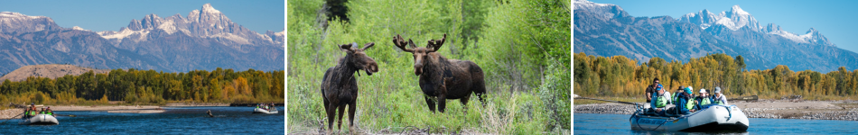 Shaping Jackson Hole History: Jim Bridger - Teton Scenic Float Tours